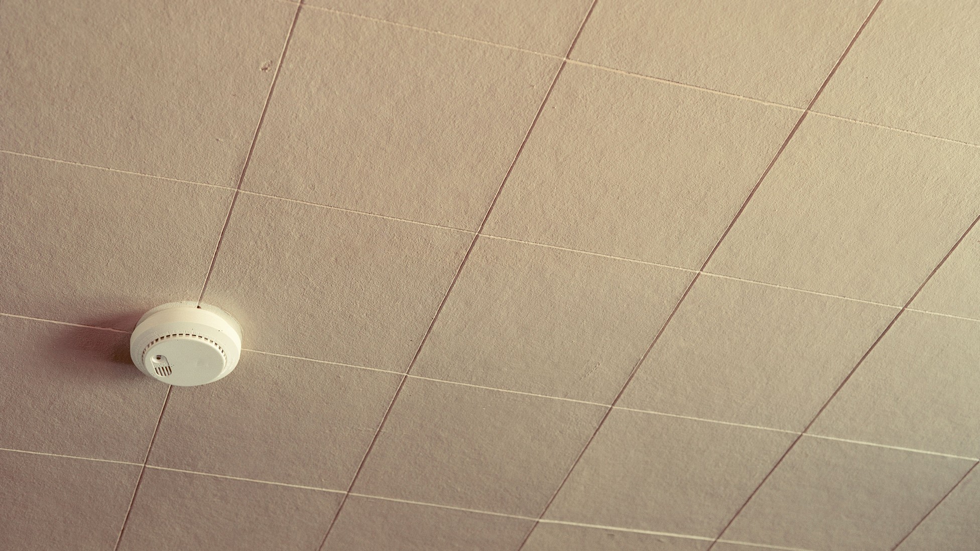 A Poem by Shara Lessley: 'Mutation: Factor V' - The Atlantic