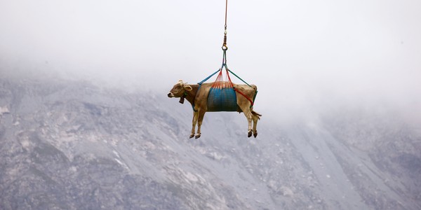 Photo - The Atlantic