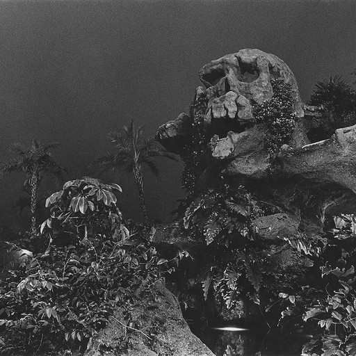 Steve Martin: Disneyland, Diane Arbus, and Me - The Atlantic