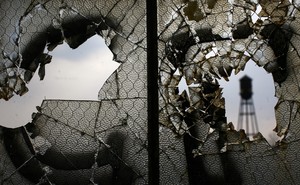 All Stories by Rose Hackman - The Atlantic