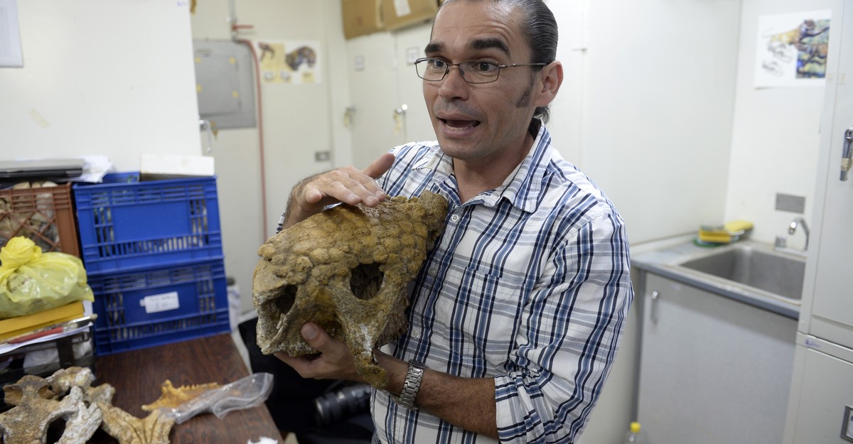 But Consider the Fate of Paleontological Field-Workers! - The Atlantic