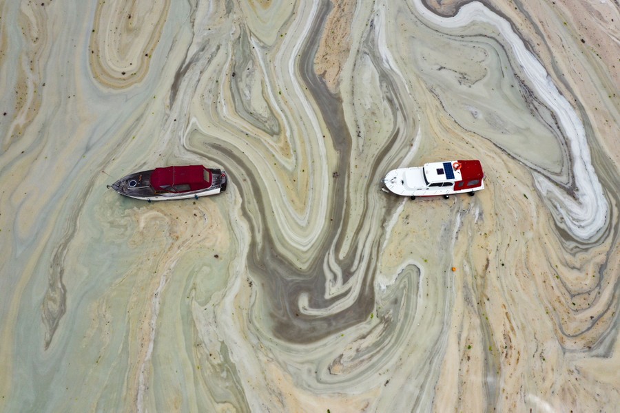 Photos: Turkey’s Sea-Snot Disaster - The Atlantic