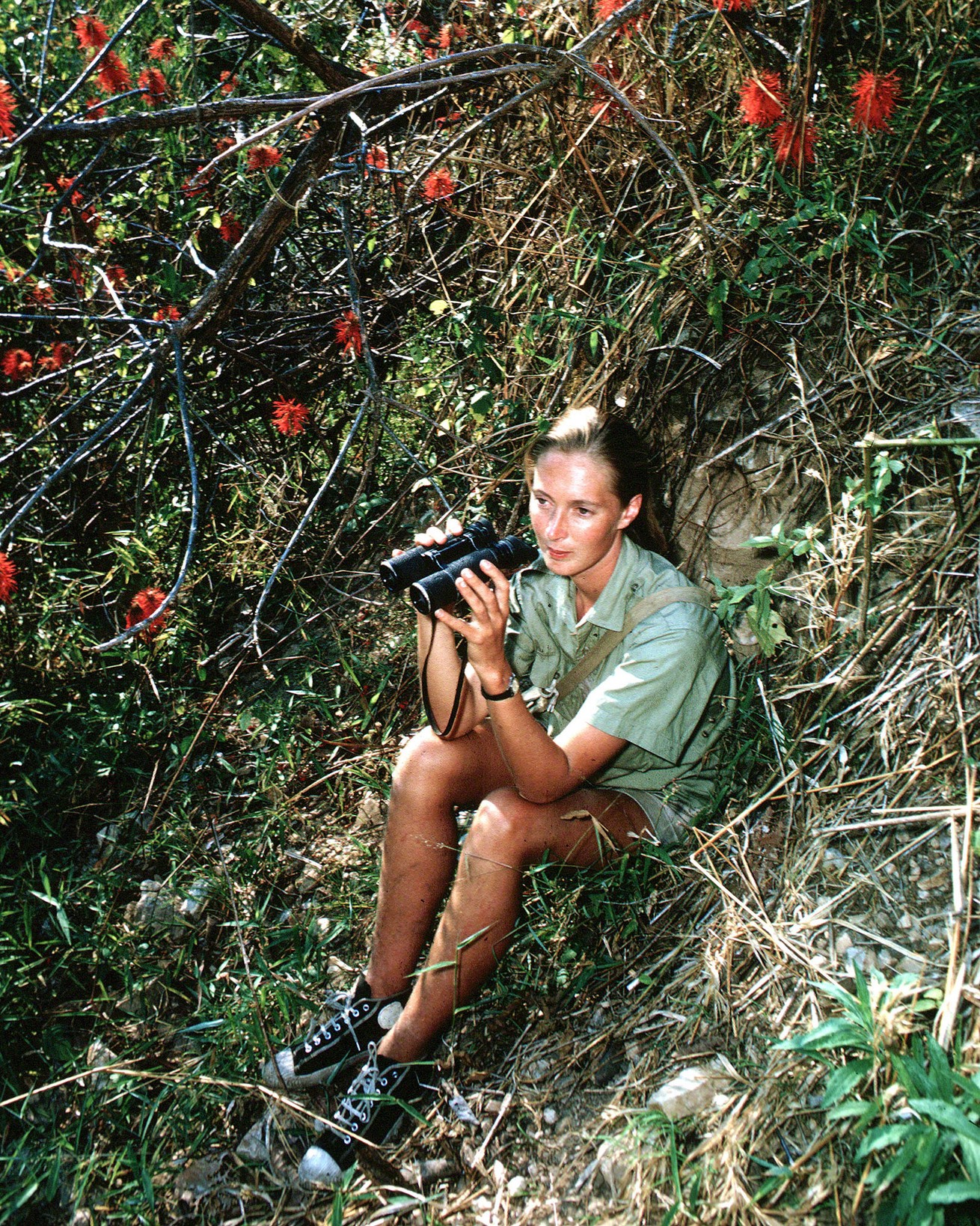 Jane Goodall’s Second-Greatest Talent - The Atlantic