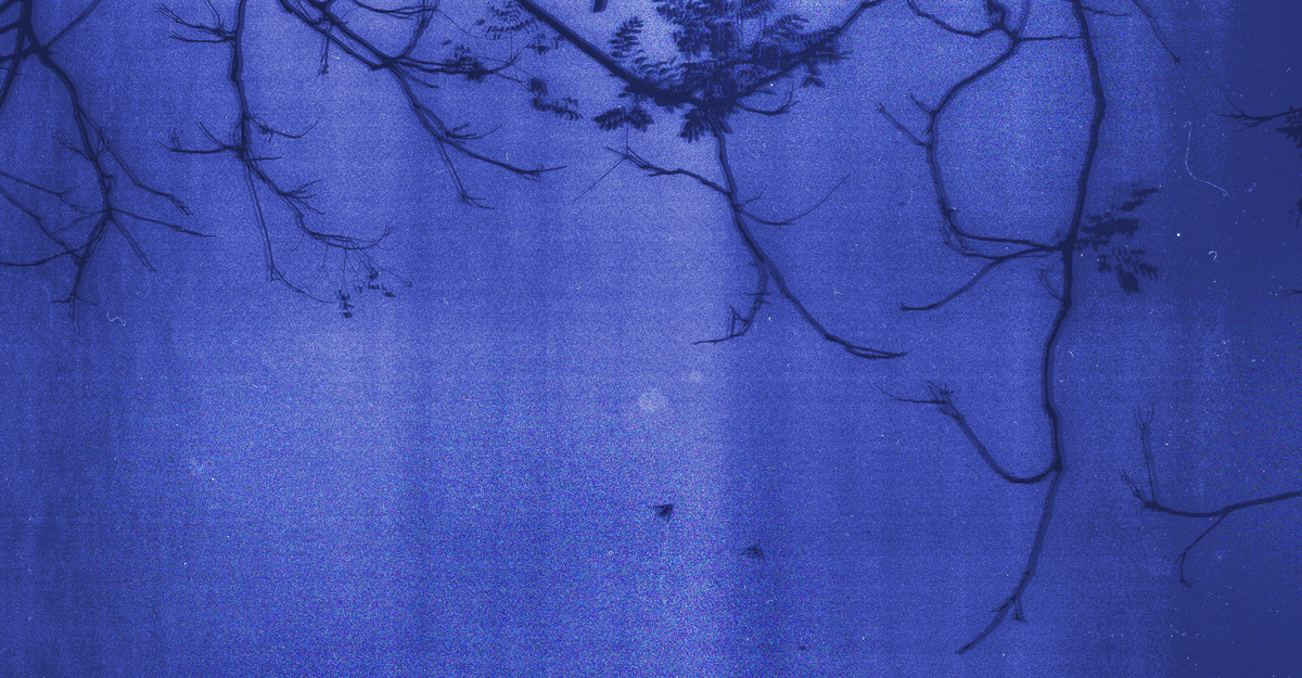 Victoria Chang: ‘On a Clear Day’ - The Atlantic