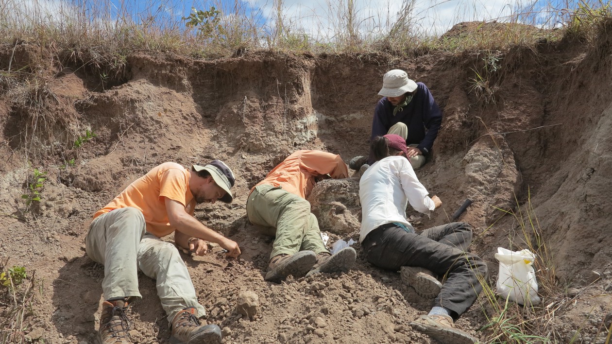 Meet Teleocrater, the Long-Neglected Reptile Rewriting the Prologue to ...