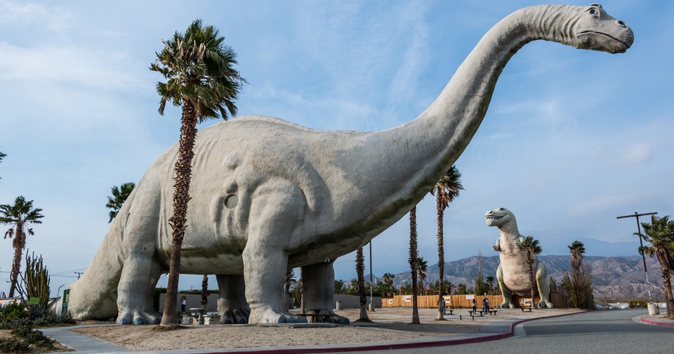 The Brontosaurus Would Like to Know: What Is a Species, Really? - The ...