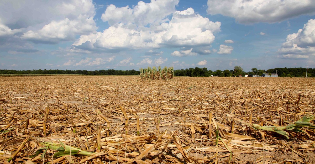 The 2012 Drought's Impact: A Visual Guide - The Atlantic