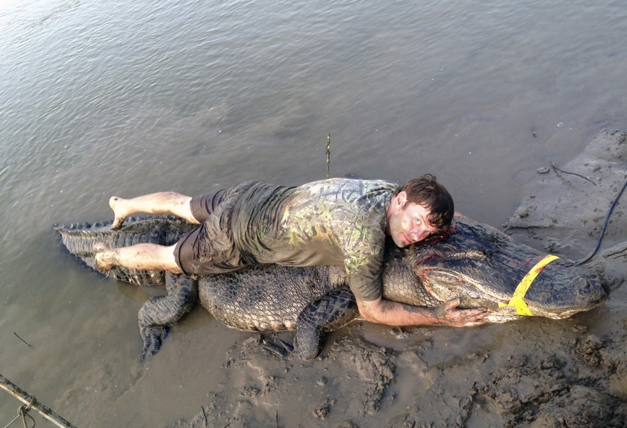 Animals in the News (With a Vladimir Putin Cameo) - The Atlantic