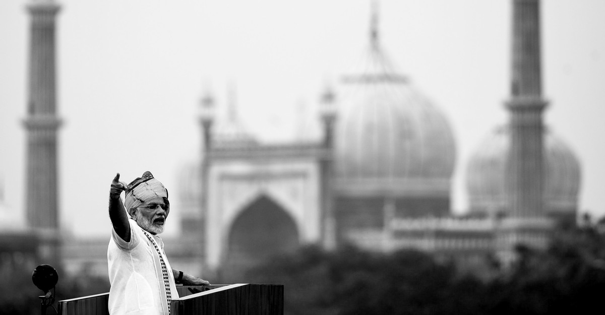 Swimmer savaged by 700lb bull shark relives horror moment he was ...