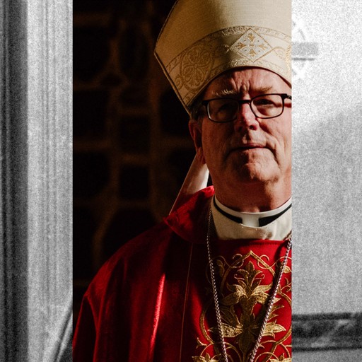 How Robert Barron Became America’s Most-Watched Bishop - The Atlantic