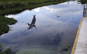 All Stories by Jake Cline - The Atlantic