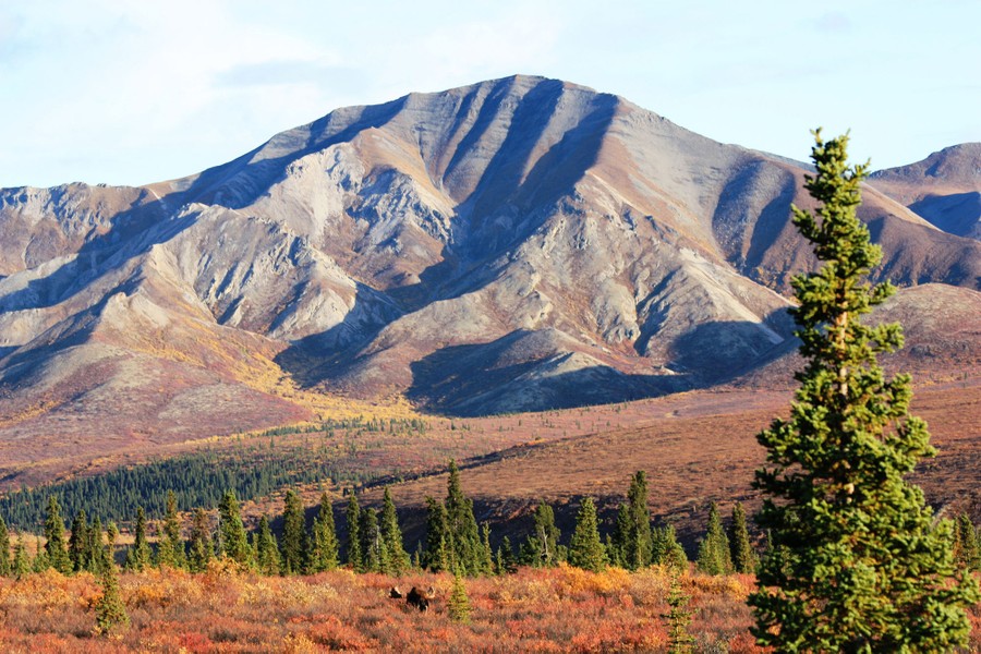 Autumn in Denali Park - The Atlantic