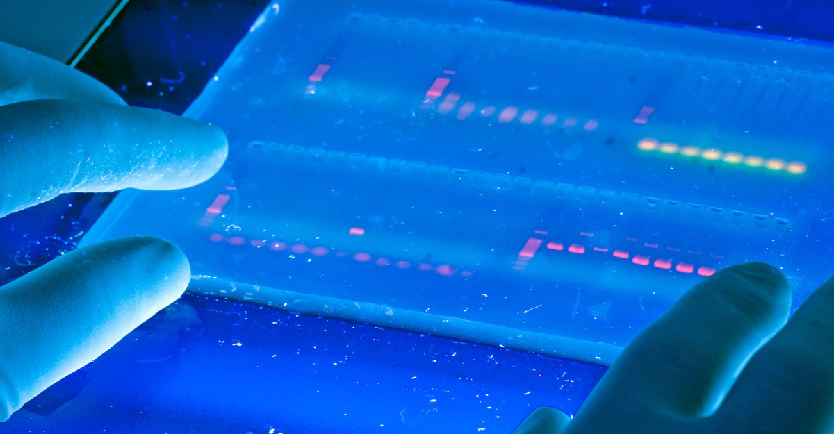 How DNA Database Statistics Can Lead To Questionable Convictions - The ...