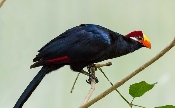 All Stories by Liam Drew - The Atlantic