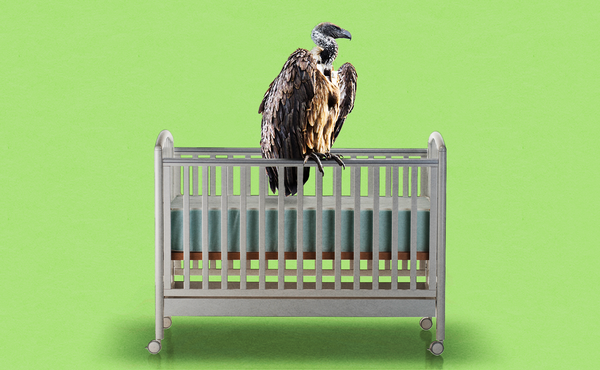 All Stories by Adam Harris - The Atlantic