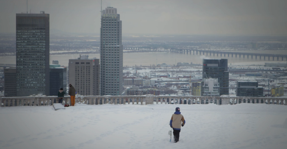 Snowboarding in Downtown Montreal After a Record-Breaking Snowfall ...