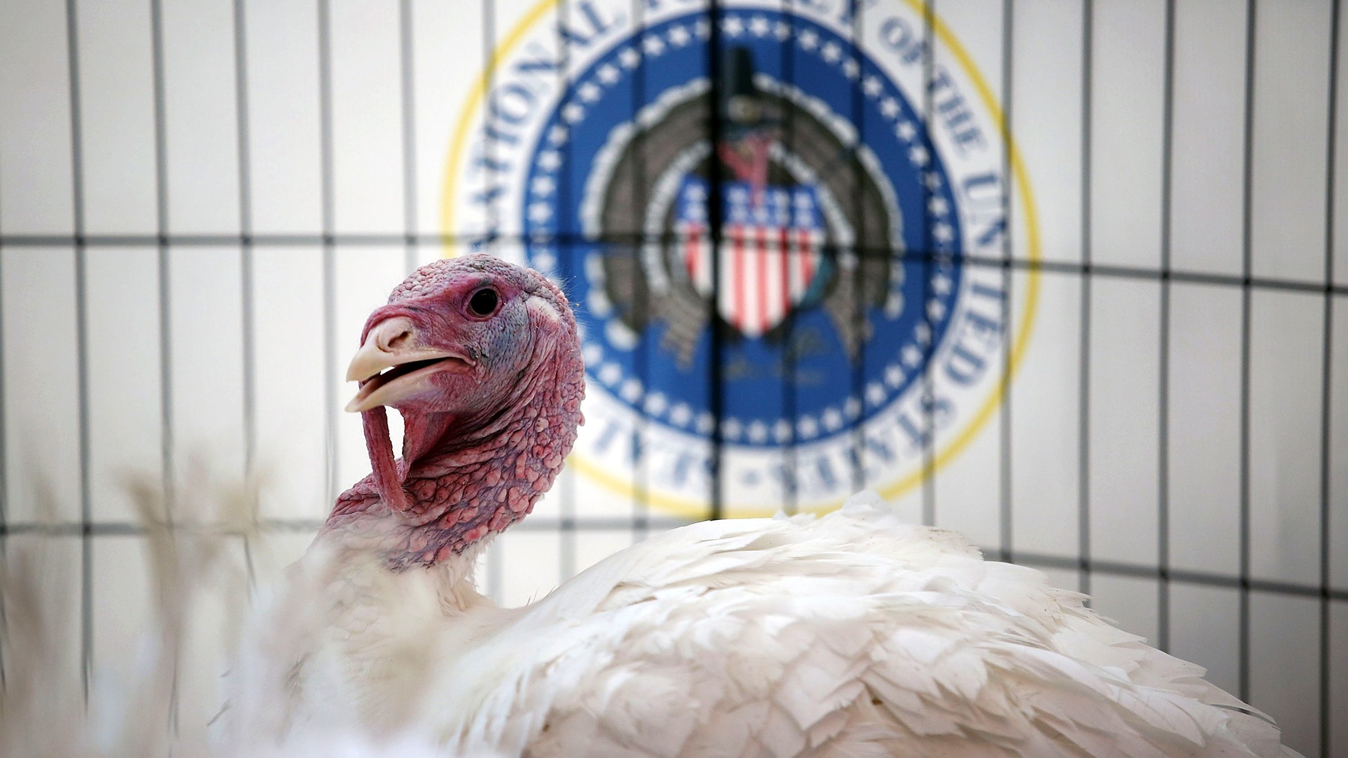 The Turkey Is the Worst Part of Thanksgiving - The Atlantic