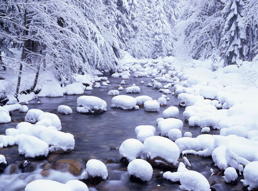 Washington: Images of the Evergreen State - The Atlantic