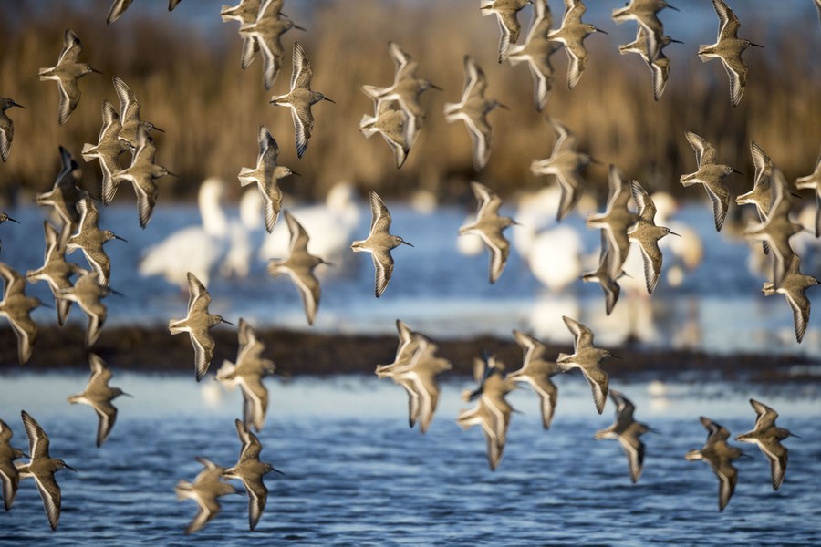 North Carolina: Images of the Tar Heel State - The Atlantic