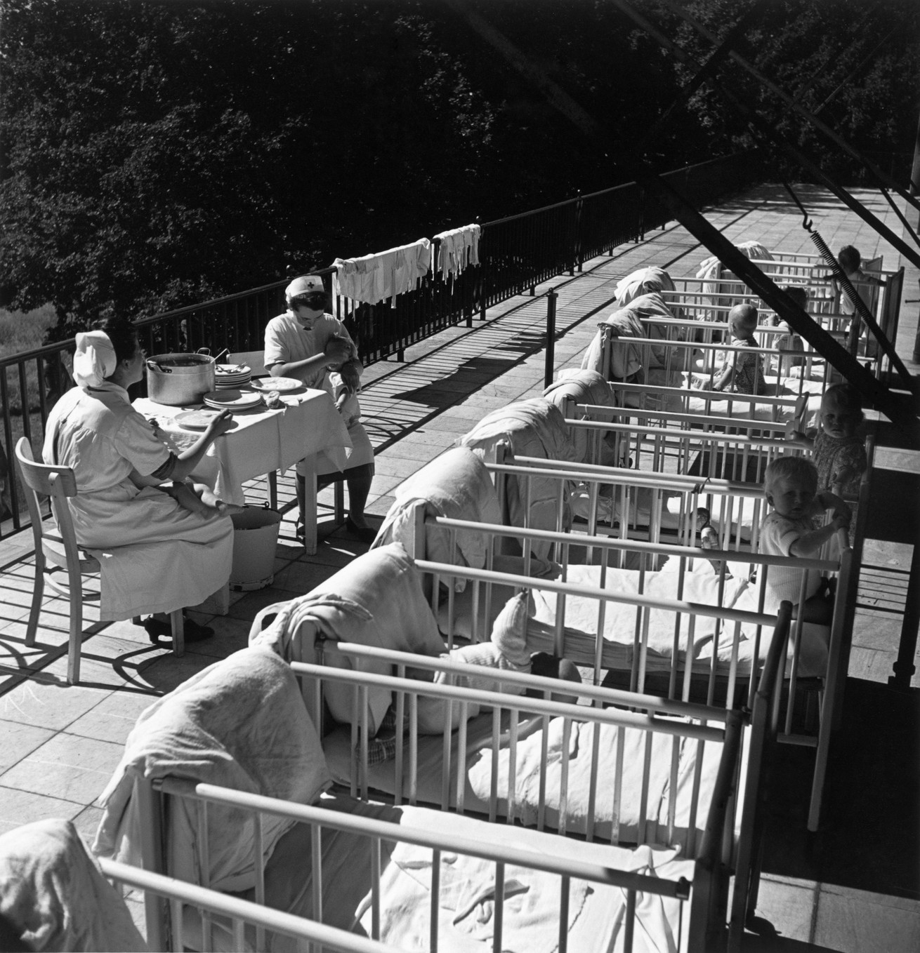 The Children of the Nazis’ Genetic Project - The Atlantic