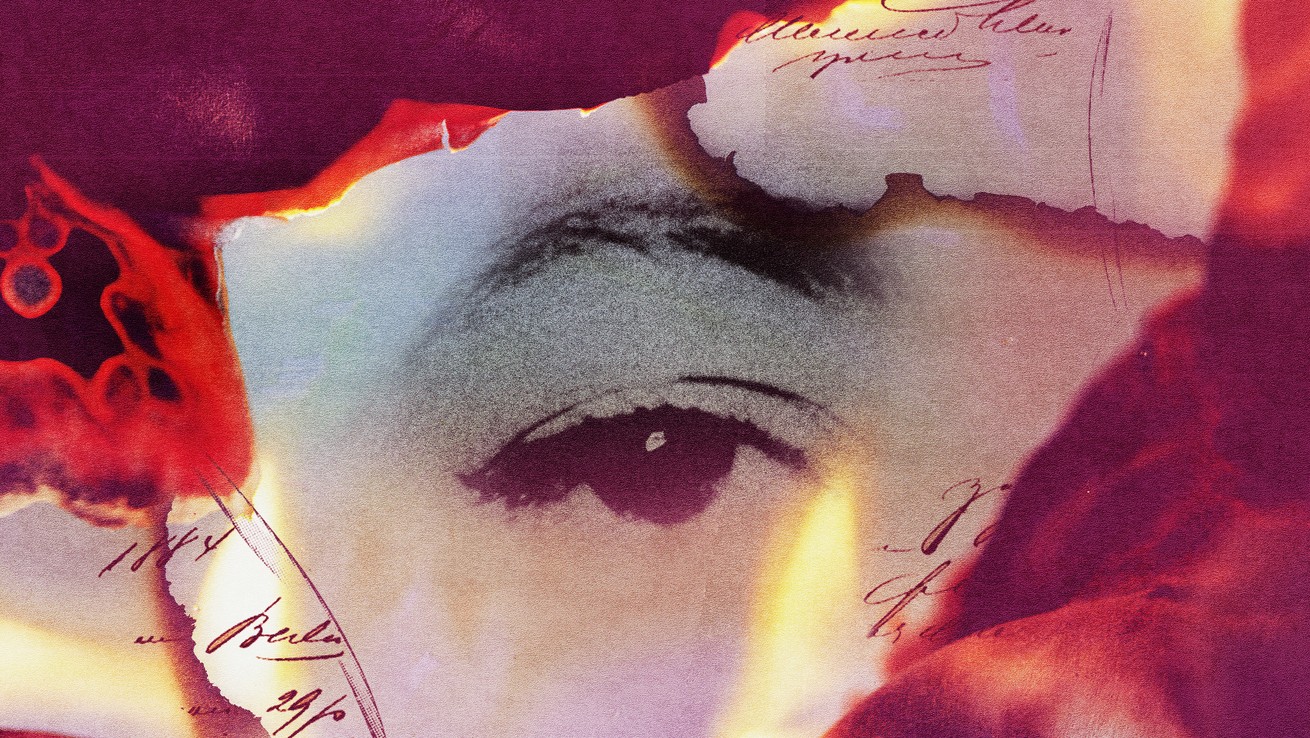 What We Lose When We Lose DVDs - The Atlantic