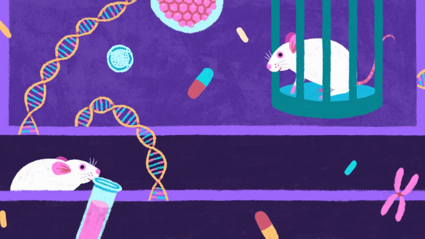 How Good Are Mouse Models for Autism? - The Atlantic