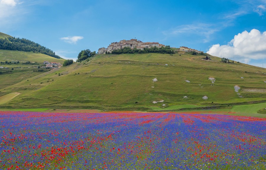 Colors Bloom Across the Great Plain of Castelluccio, Italy - The Atlantic