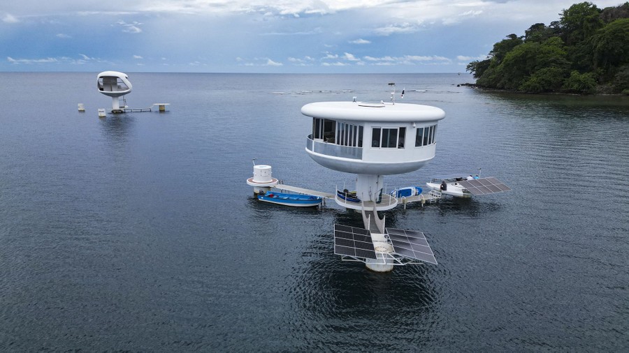 Photos of the Week: Beer Toss, Pike Battle, Sea Pods - The Atlantic