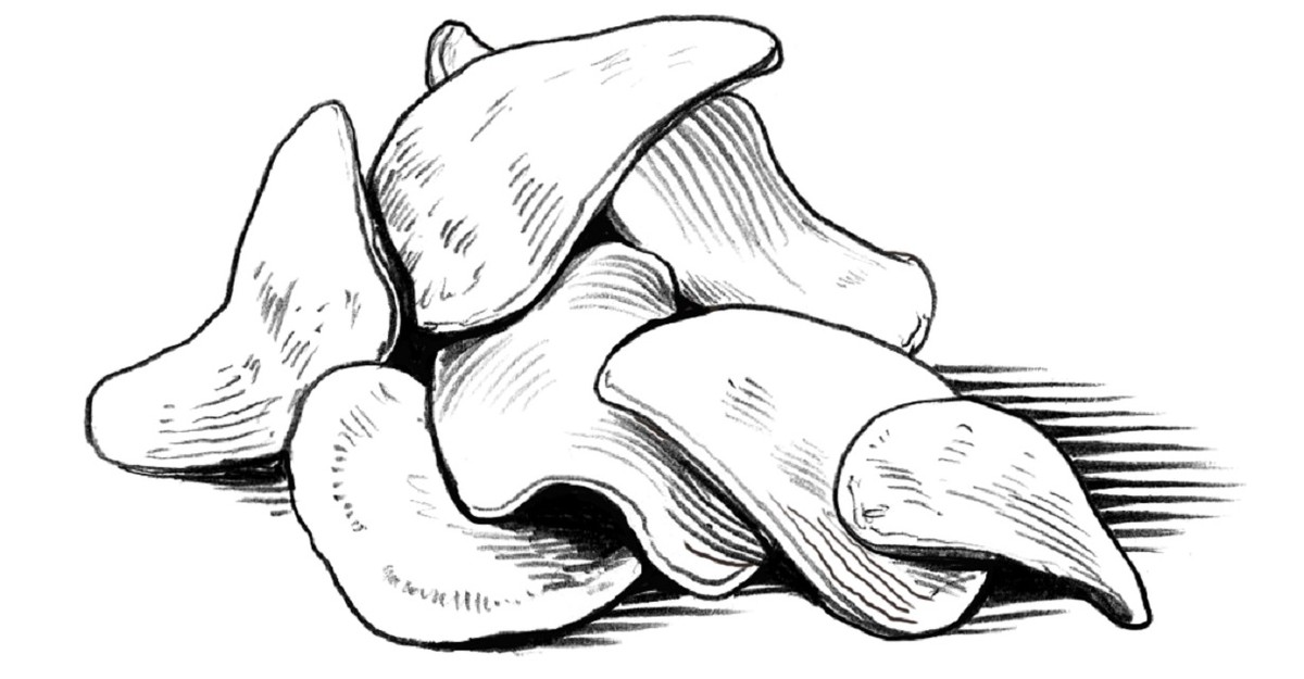 The First Potato Chip - The Atlantic