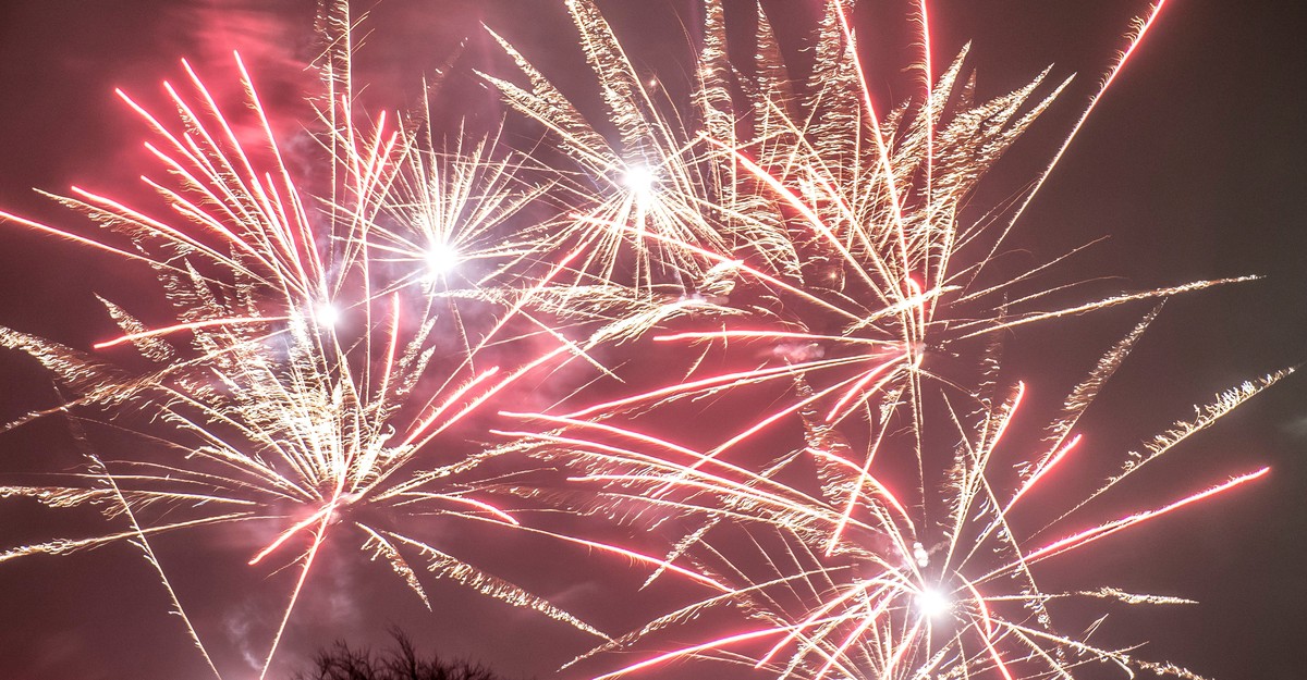 The Cambrian Explosion Wasn't Necessarily So Explosive - The Atlantic