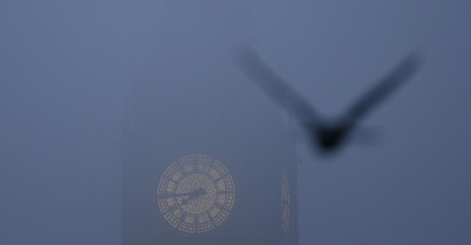 Scientists Think Your Body Clock Was Set Before You Were Born - The ...