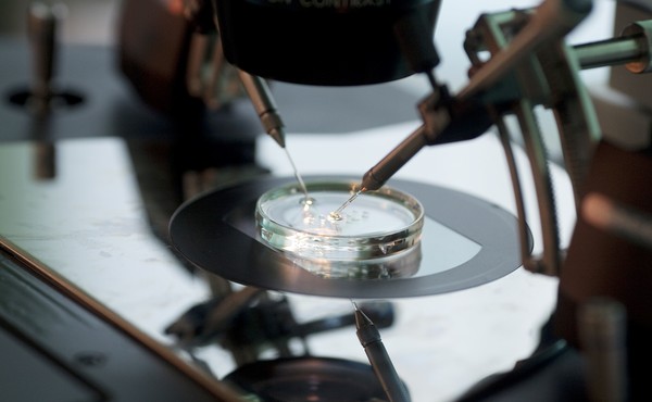 All Stories by Sarah Elizabeth Richards - The Atlantic