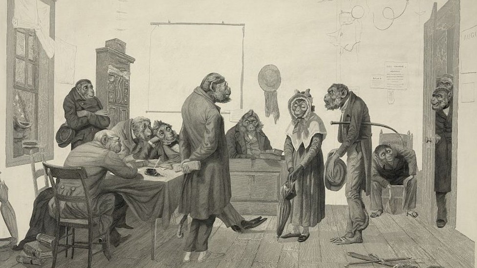 Mr. Hardhack on the Derivation of Man from the Monkey - The Atlantic