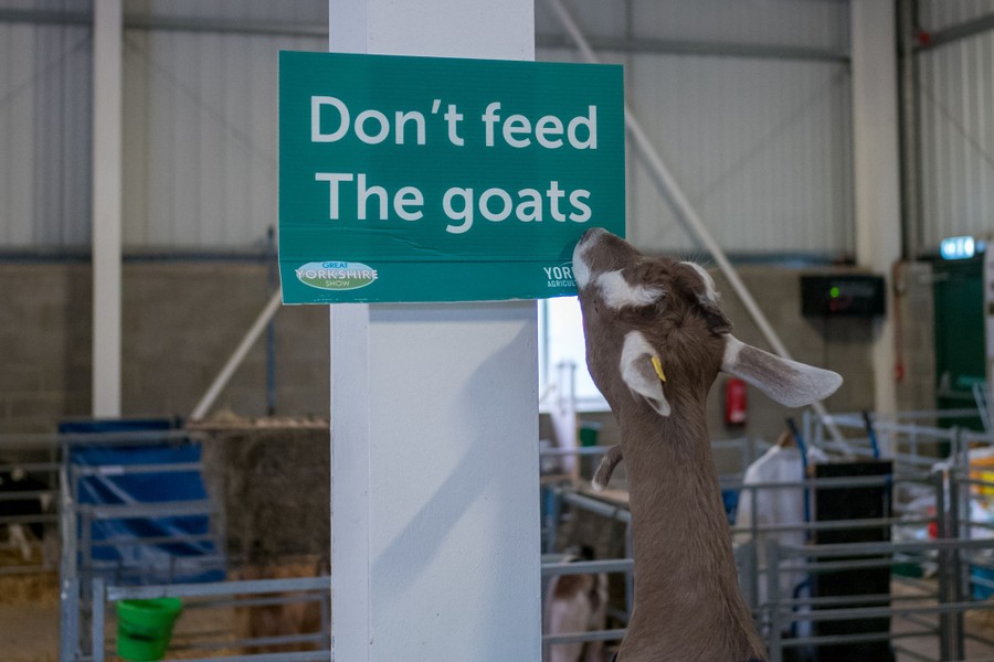 Photos of the Week: Death Valley, Hill Town, Eleventh Night - The Atlantic