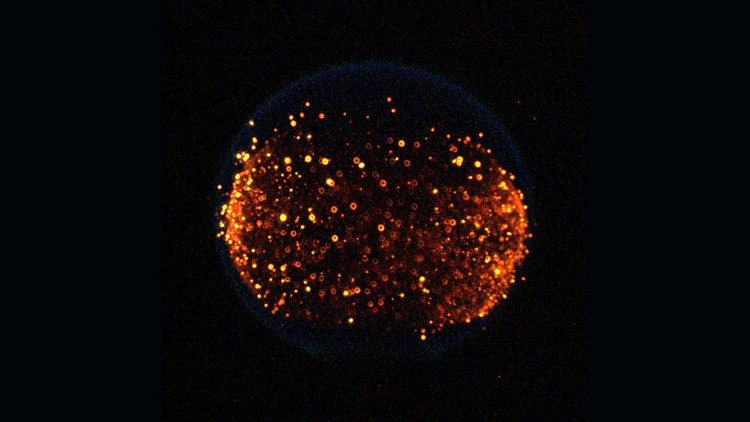 NASA Astronauts Play With Fire for Science - The Atlantic