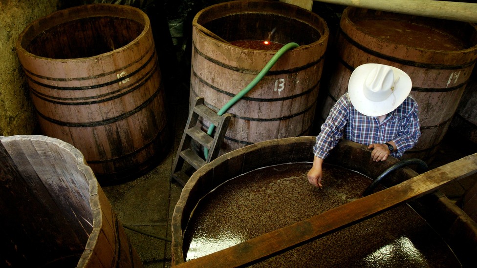 How Tequila Went From Mexican Farms to American Frats - The Atlantic