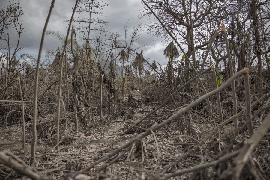The Colorless Landscape Around Taal Volcano - The Atlantic
