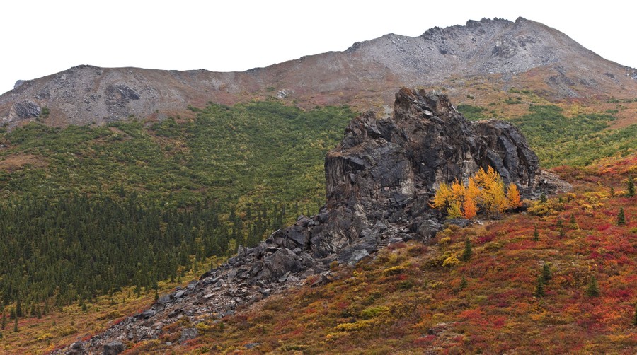 Autumn in Denali Park - The Atlantic
