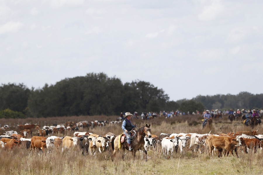 Florida: Images of the Sunshine State - The Atlantic