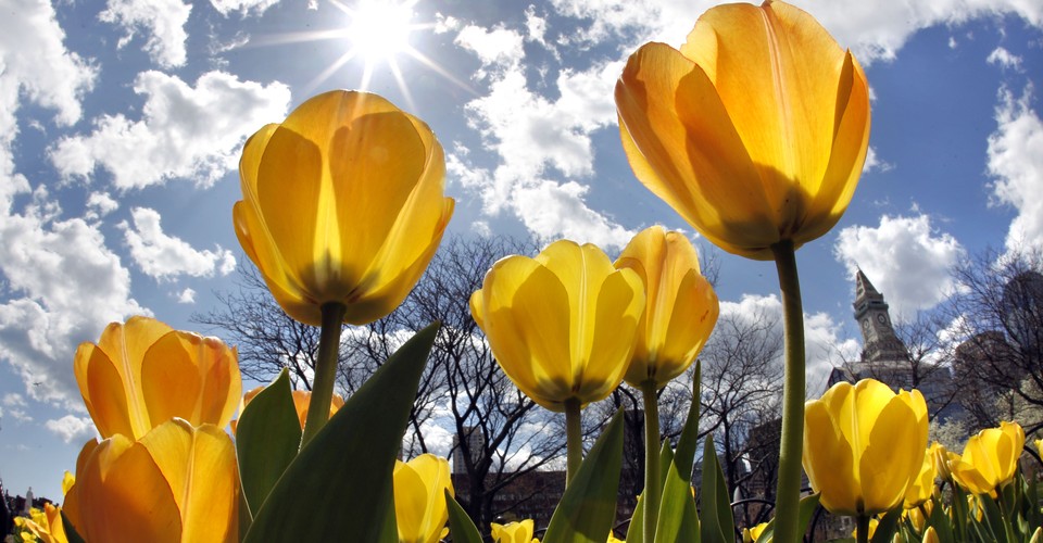 What Is Spring Like on Other Planets? - The Atlantic