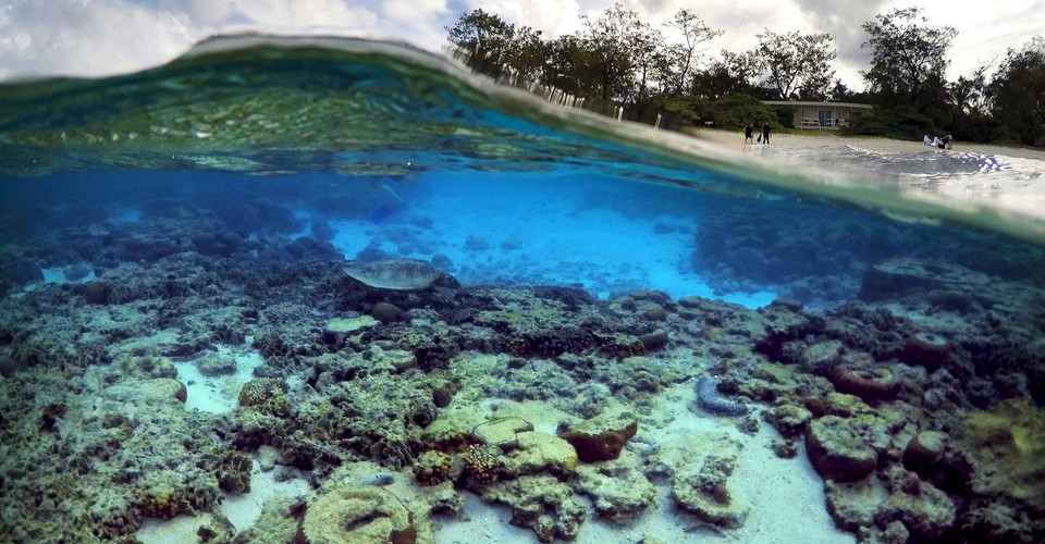 Australia's Great Barrier Reef at Risk - The Atlantic