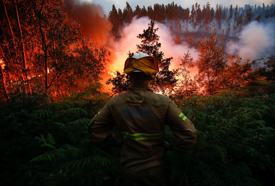 Photos of the Deadly Wildfires in Portugal - The Atlantic