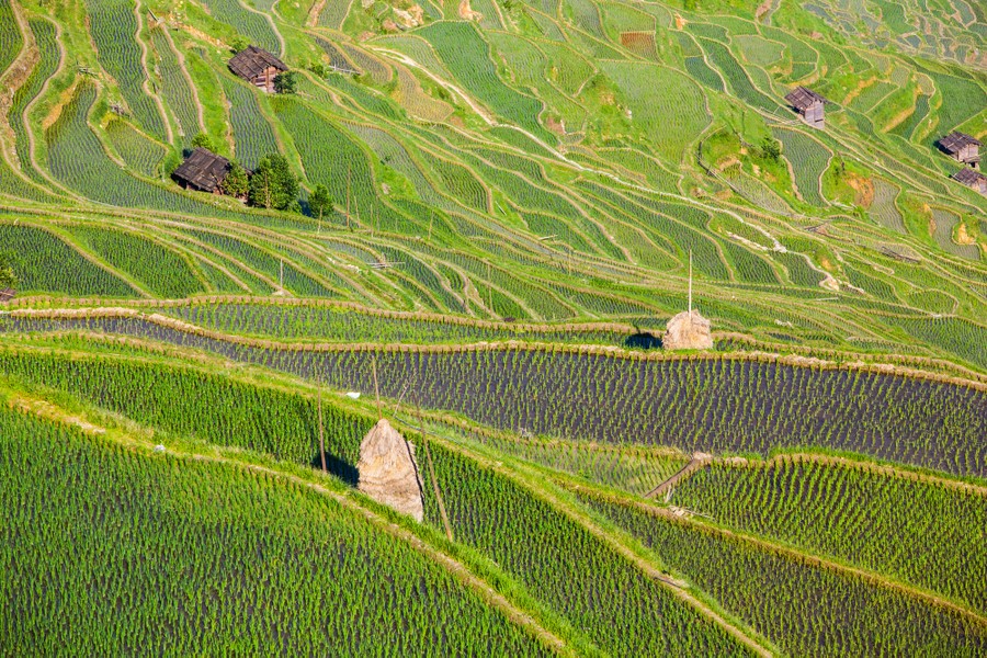 Scenes From China’s Guizhou Province - The Atlantic