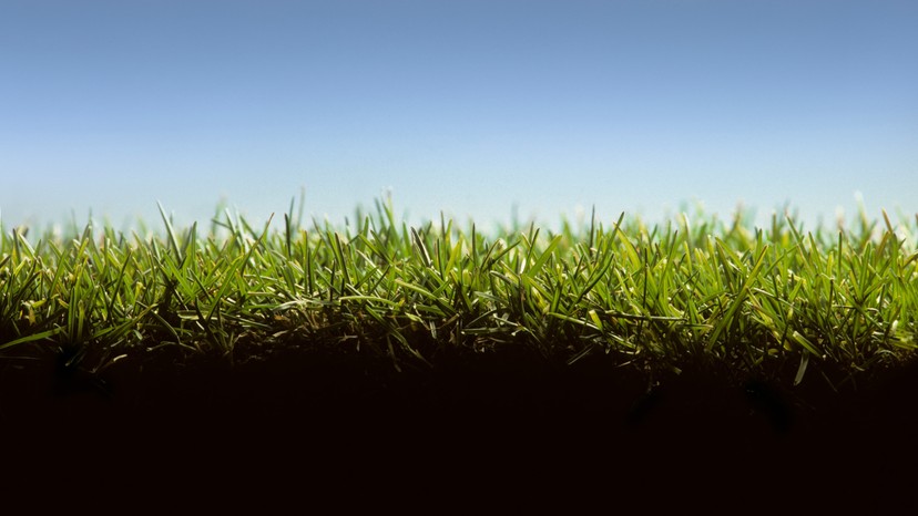 The Soil Has a Lot to Say - The Atlantic