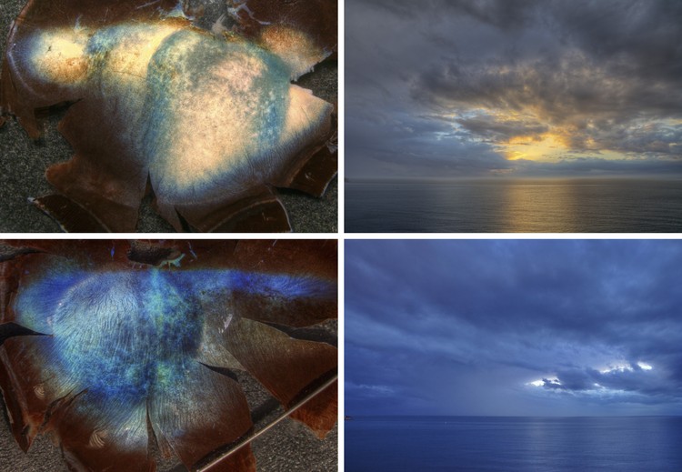 Reindeer Eyes Completely Change Colors in Winter - The Atlantic