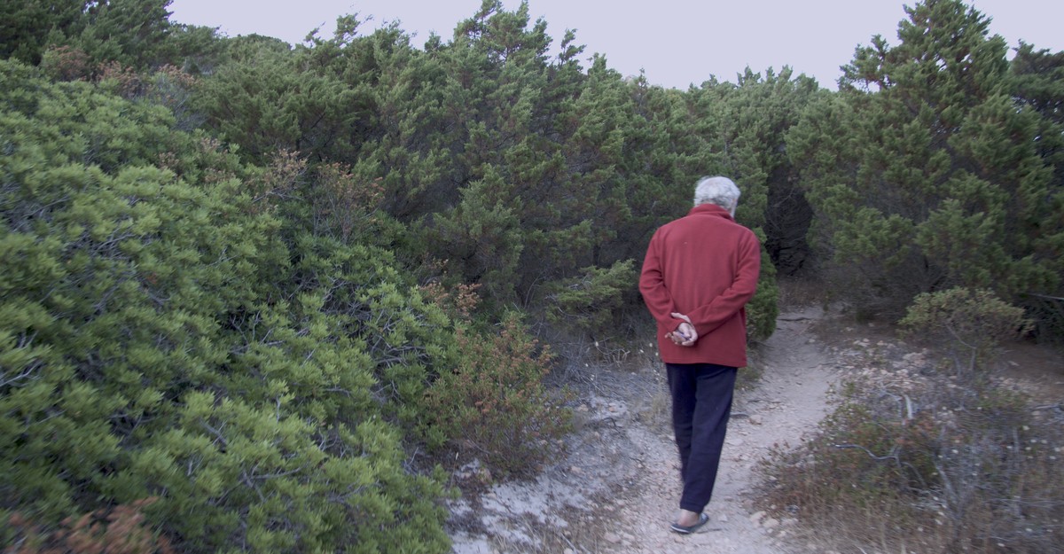 When A Paradise Loses its Caretaker - The Atlantic
