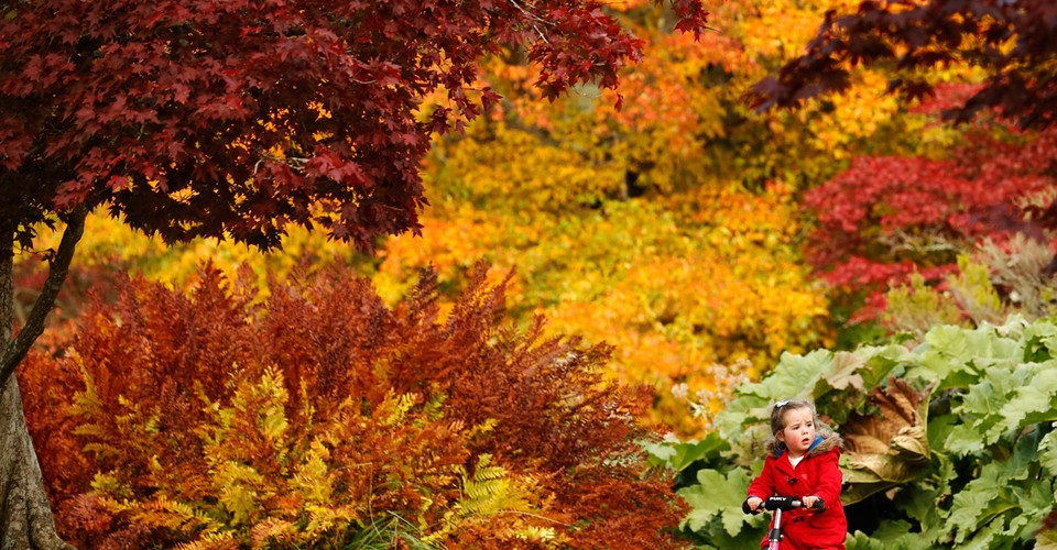 Fall Is in the Air, Part II - The Atlantic