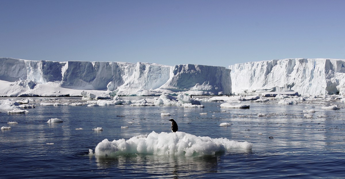 The Counterintuitive Way That Microbes Survive in Antarctica - The Atlantic