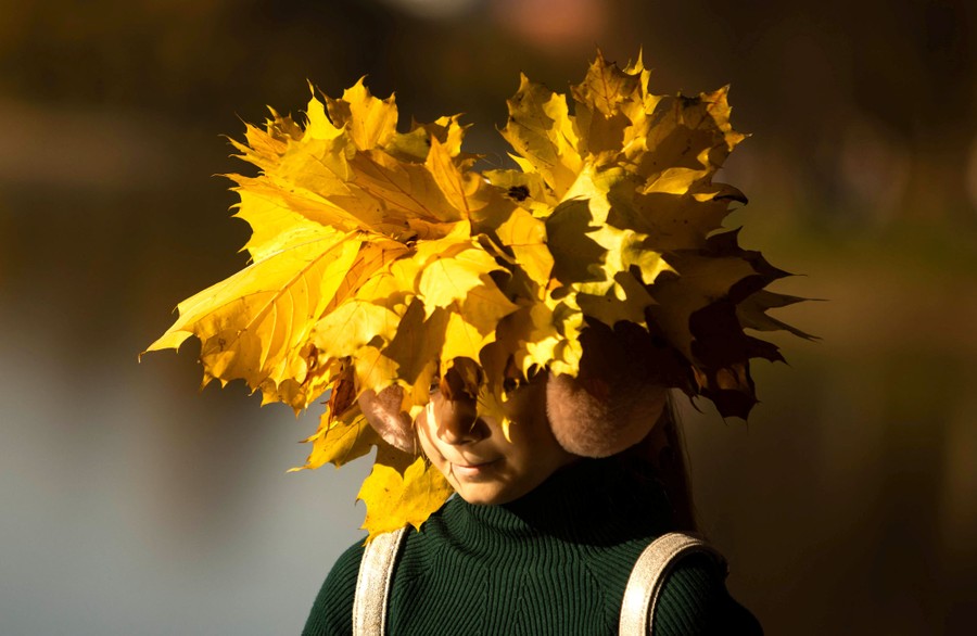 Fall Is in the Air: Images of the Season - The Atlantic