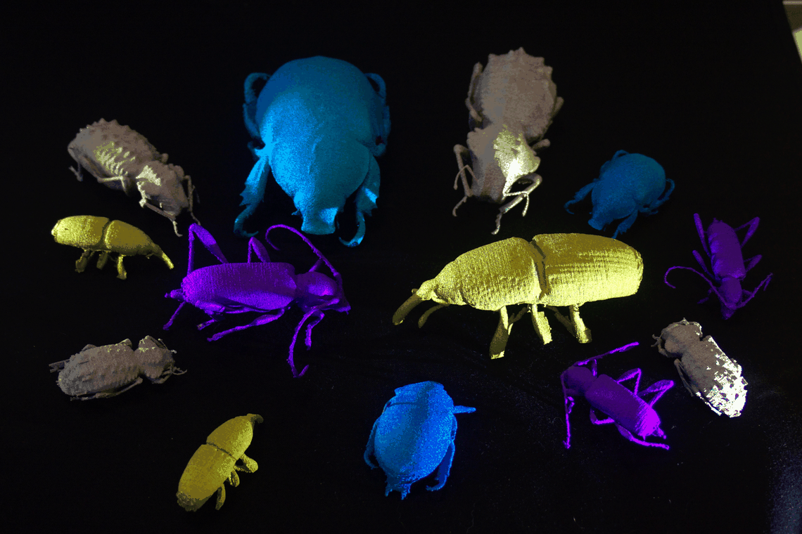 The Nightmarish Detail of New 3D Insect Images - The Atlantic